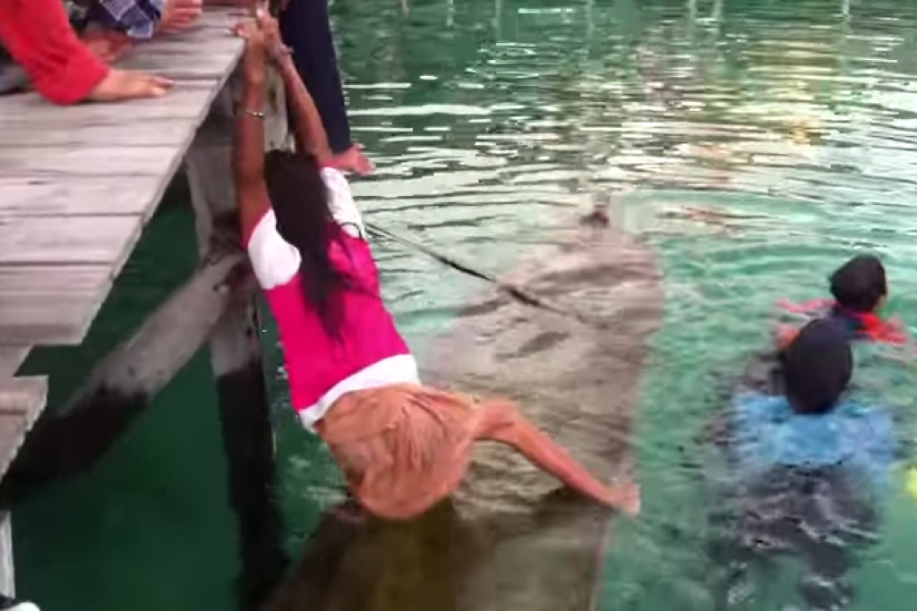 Watch how this awesome Malaysian girl rescues a sinking canoe - The ...