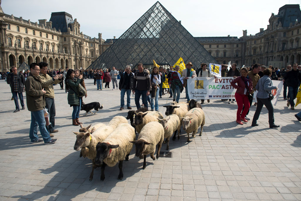It was shear luck nobody was hurt during this protest outside the ...