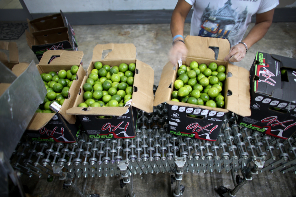 Mexicans squeezed by soaring lime prices - The World from PRX