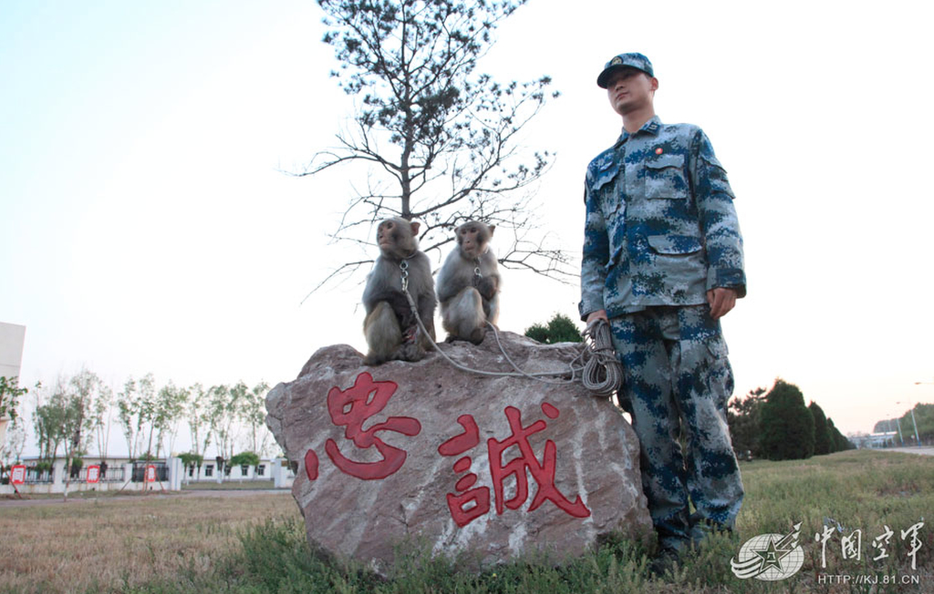 China has deployed monkeys to protect its troops - The World from PRX