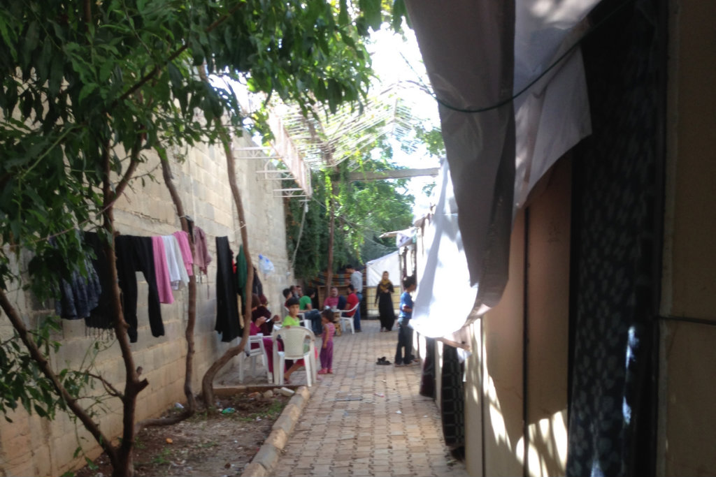 The ferryman of Istanbul helps Syrian refugees - The World from PRX