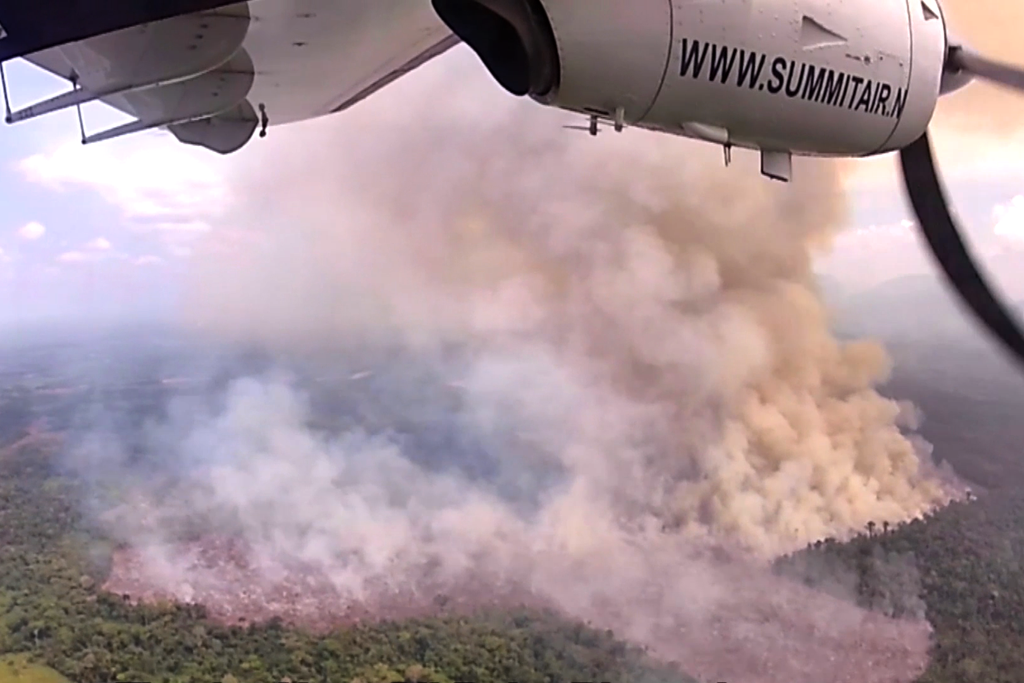 Calamity Calling: What if we lost the Amazon? - The World from PRX