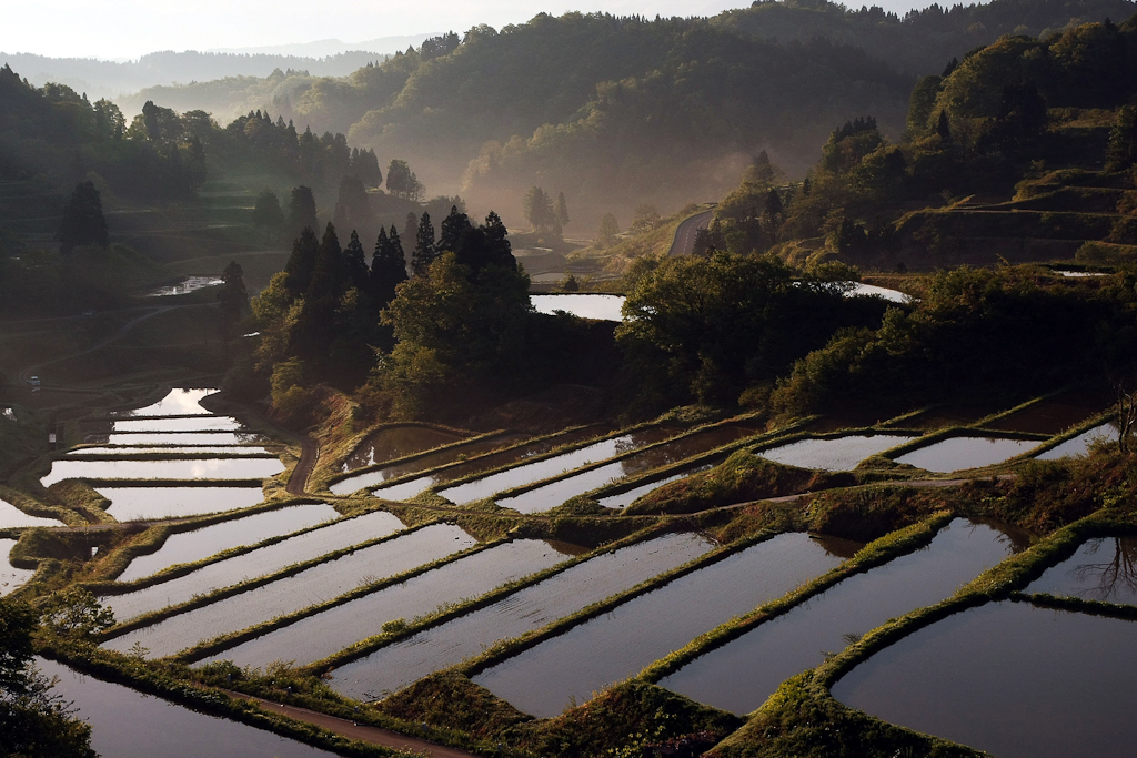 Rice Fields Of Asia: From Above and Below - The World from PRX