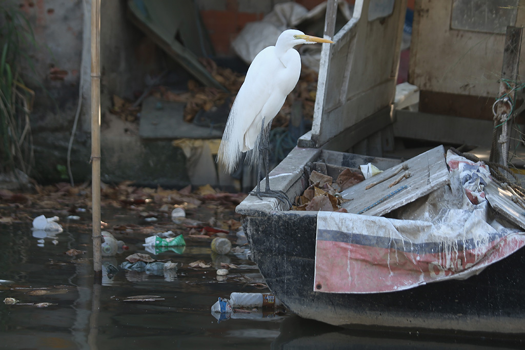Instastink: A couple of Instagram photos of Rio’s bay pollution problem ...