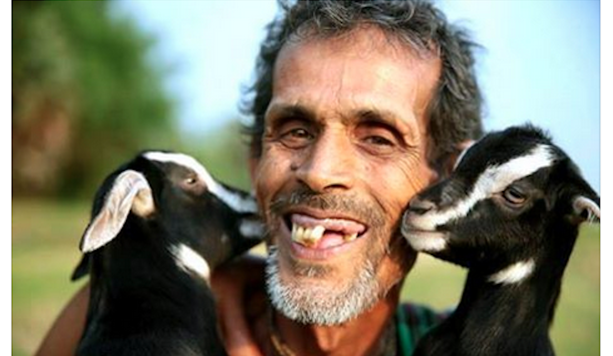 Humans of New York, meet the Goats of Bangladesh - The World from PRX