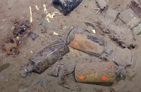 Three-hundred-year-old skull with brain tissue still inside found in ...