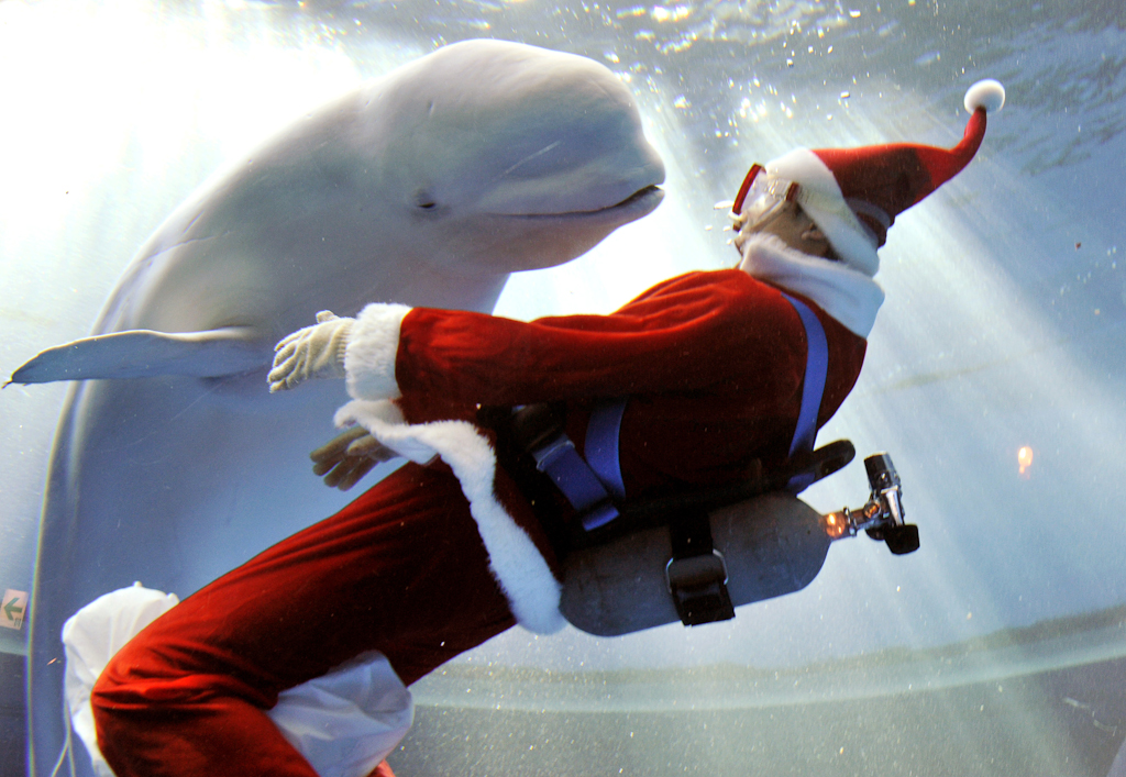 Santa Claus Gone Wild: Before Christmas, Saint Nick Lets Loose - The ...