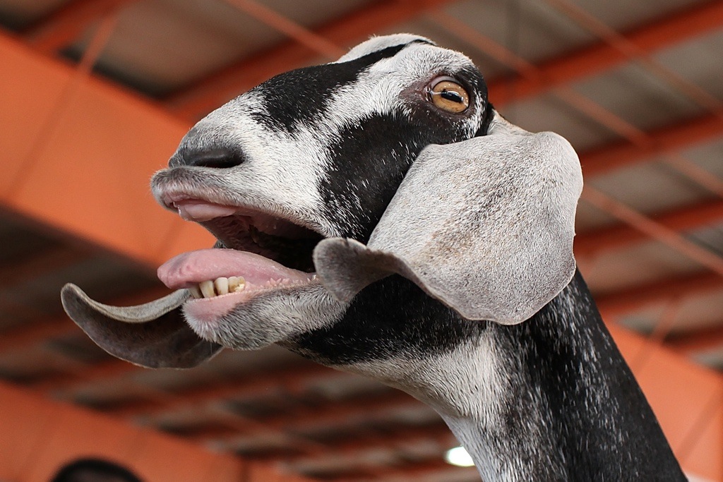 South Africa taxi industry takes flight - The World from PRX