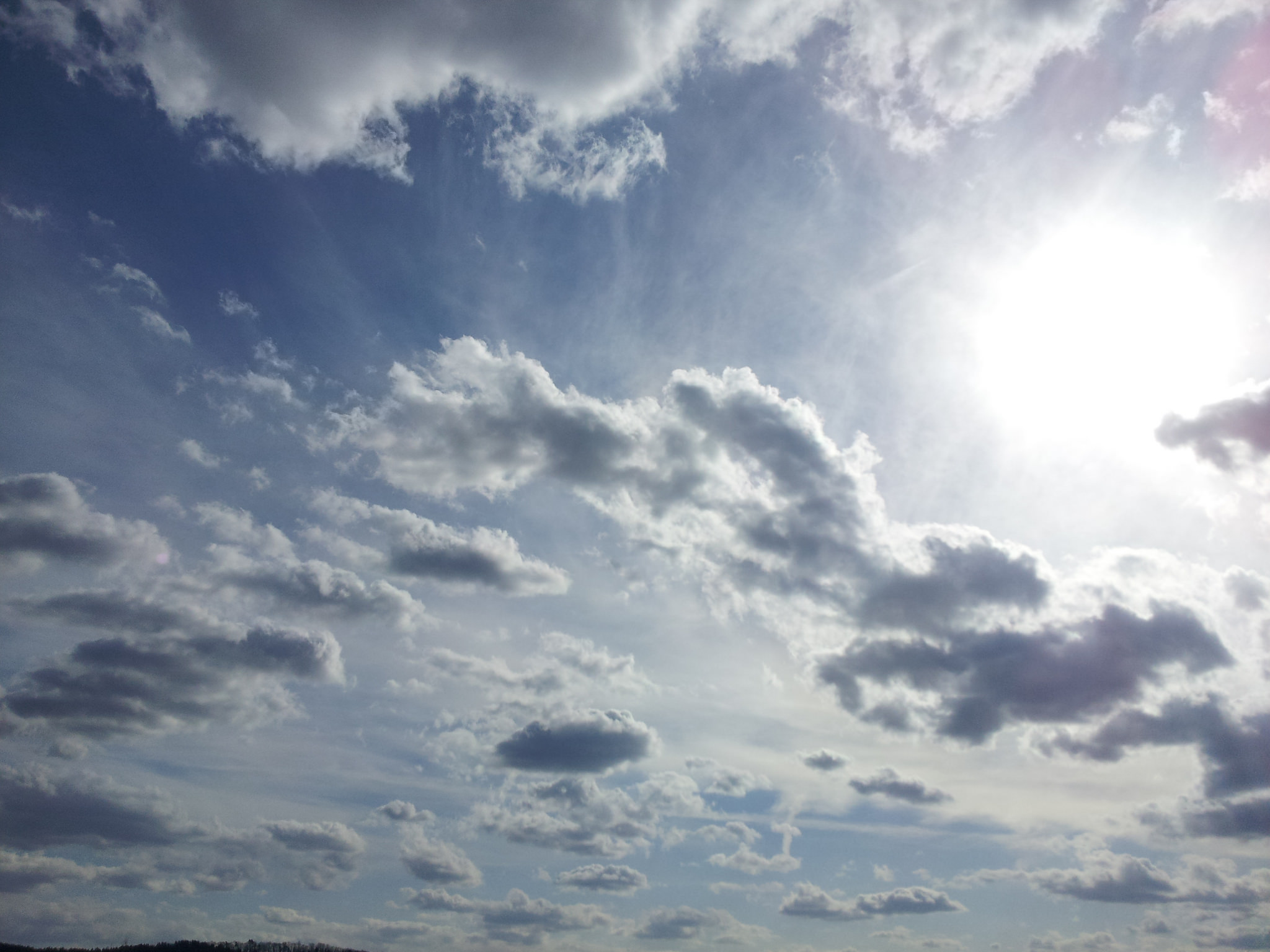 Bacteria are thriving in the sky — and they influence the weather - The ...