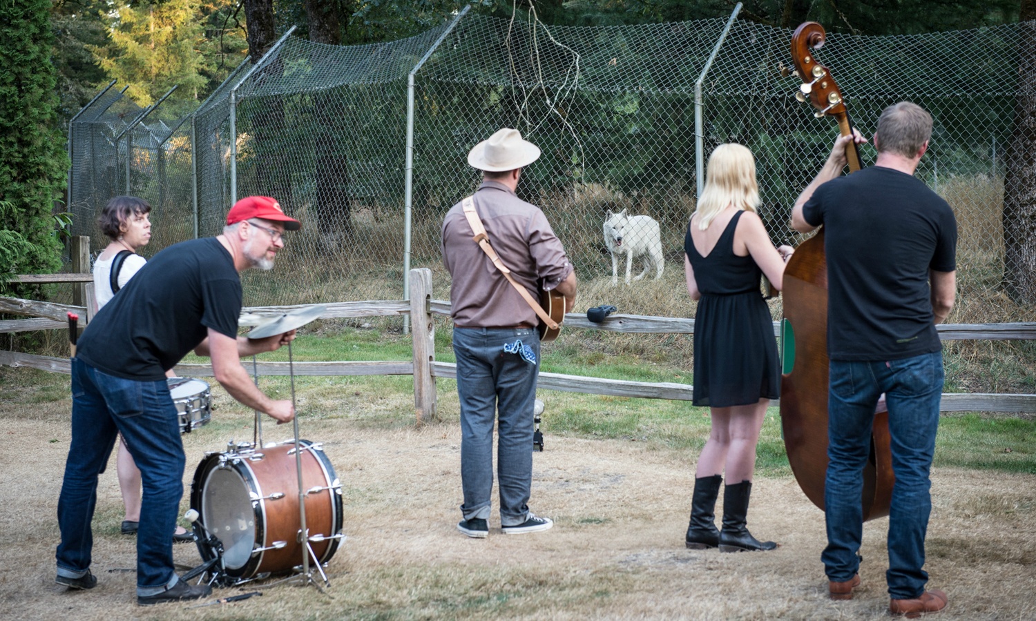 Making Music for Animals - The World from PRX