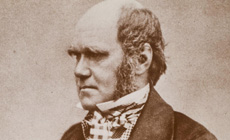 Darwin: A Life in Poems - The World from PRX