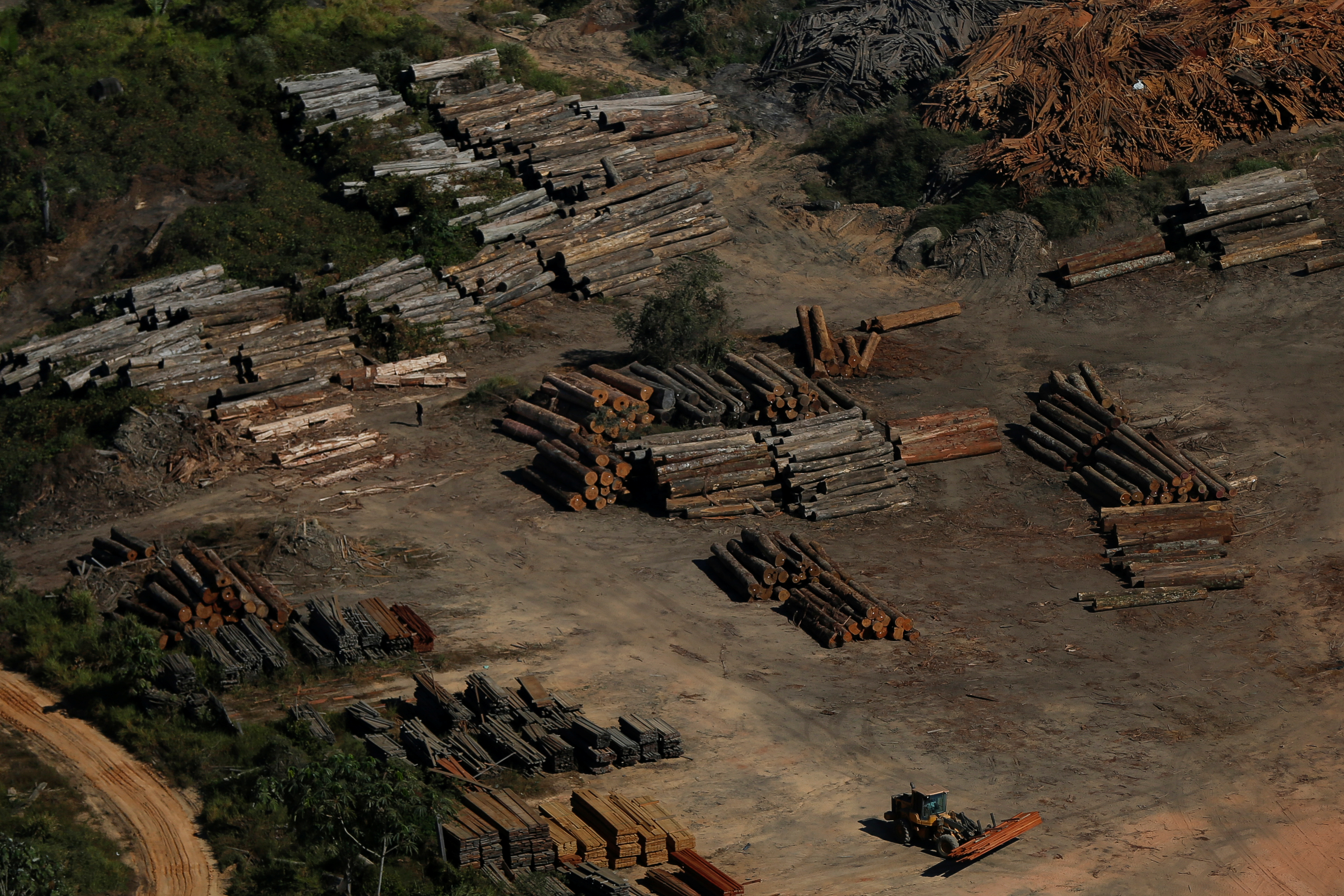 Biodiversity loss has an enormous impact on humans, according to a UN ...