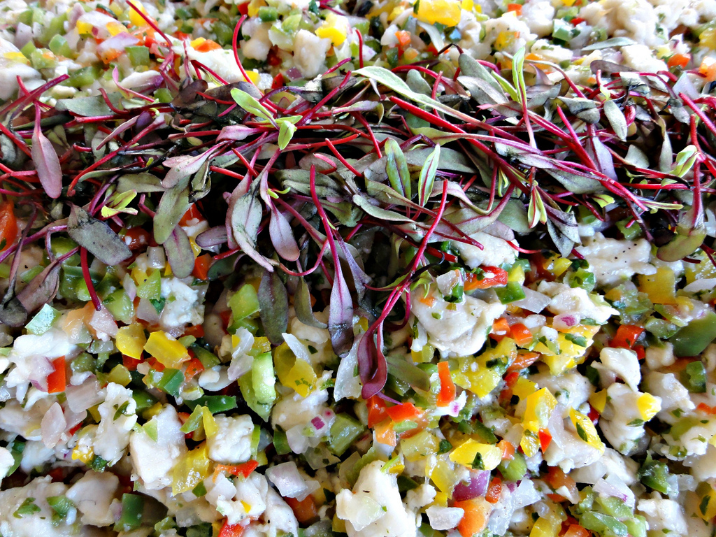 Tired of sweating over the stove? Try cooking with science this summer ...