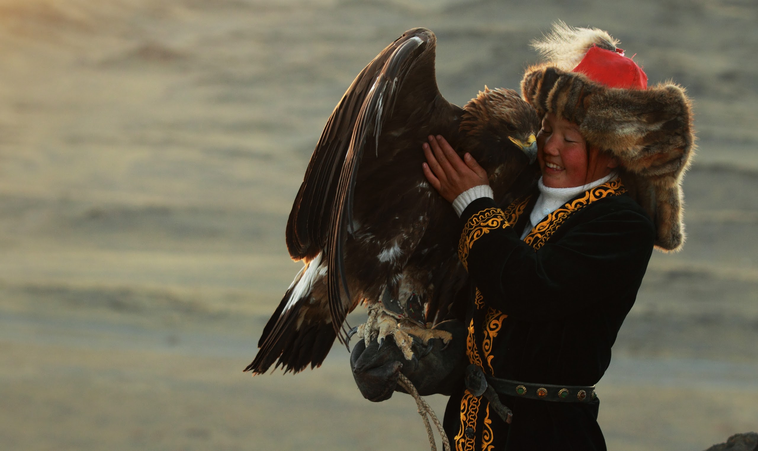 Golden Eagle Hunting Wolves