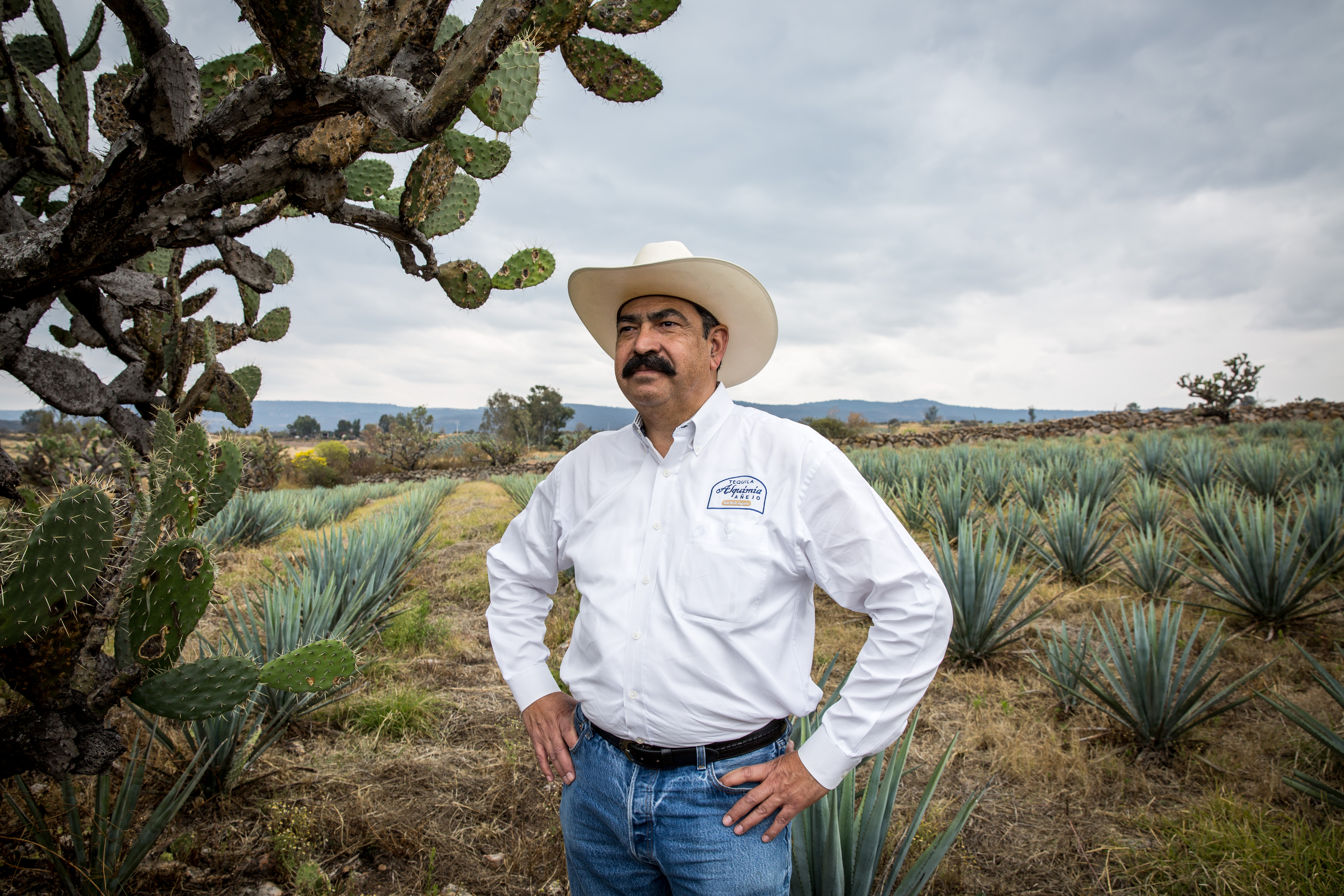 Mexican growers are hoping to give Chinese consumers a shot of organic ...