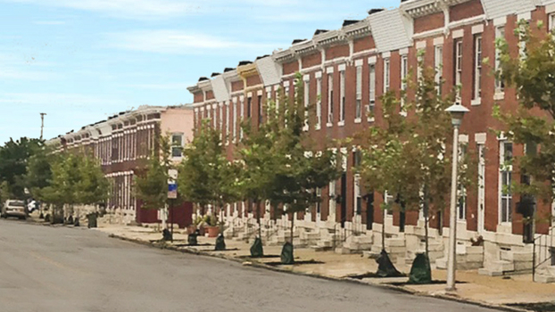 In Baltimore, an effort to turn lives around by planting trees - The ...