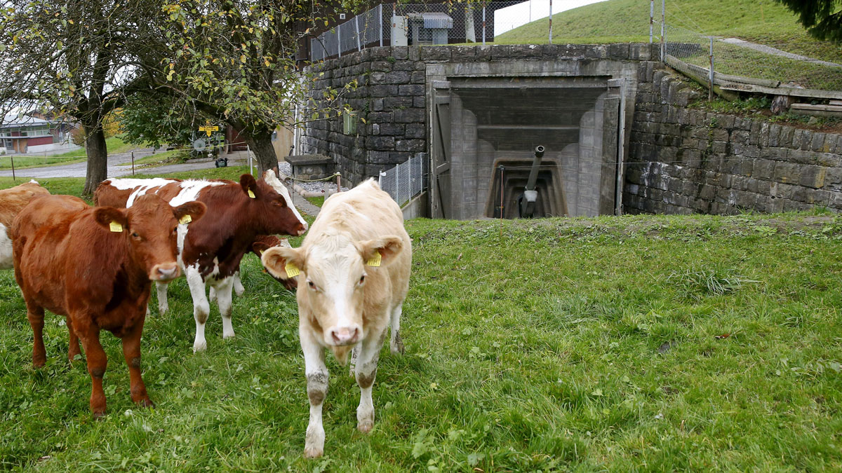 That picturesque barn in the Swiss countryside might be a former Army ...