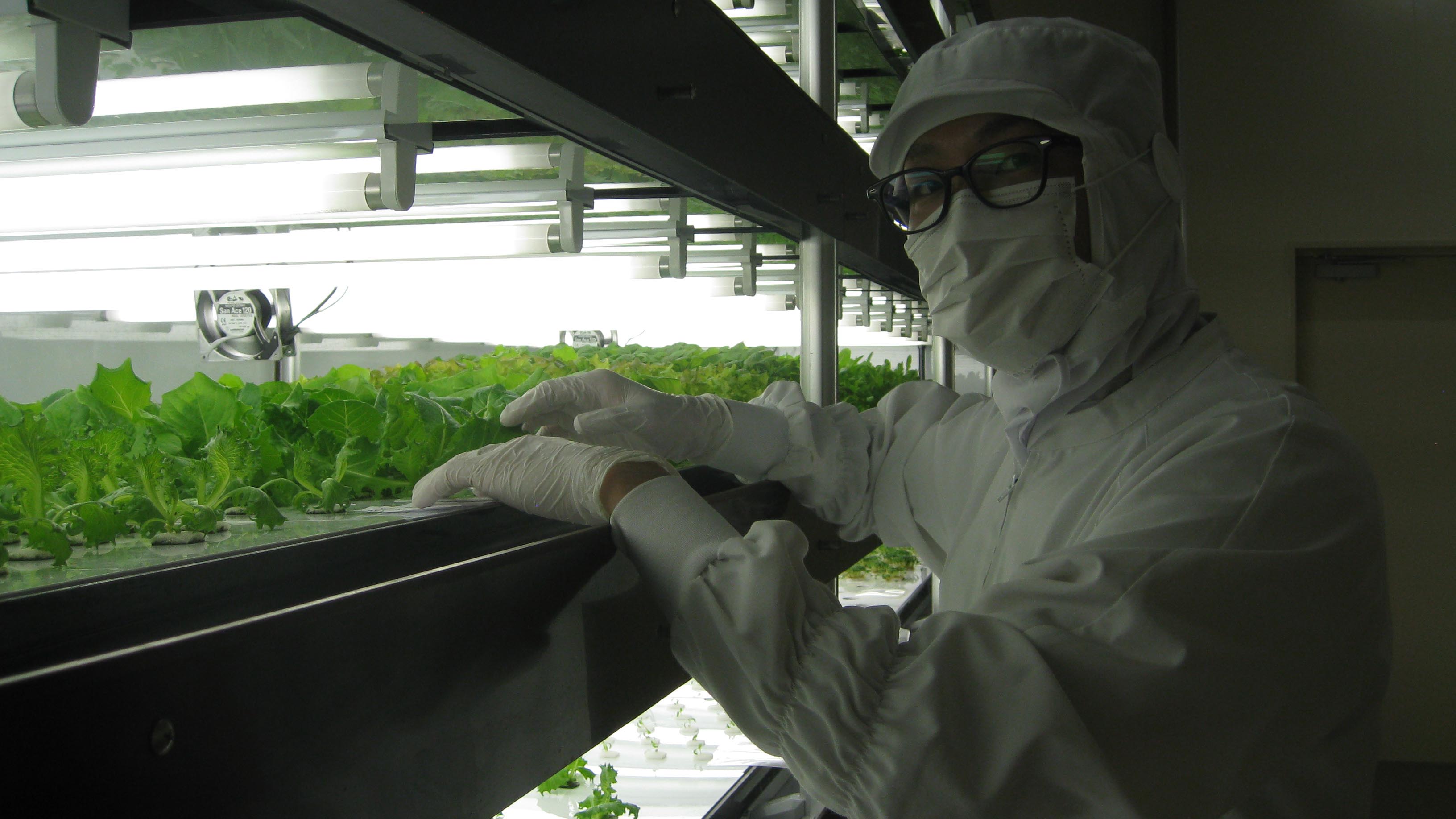 If you run out of space for farming, look to the subway - The World ...