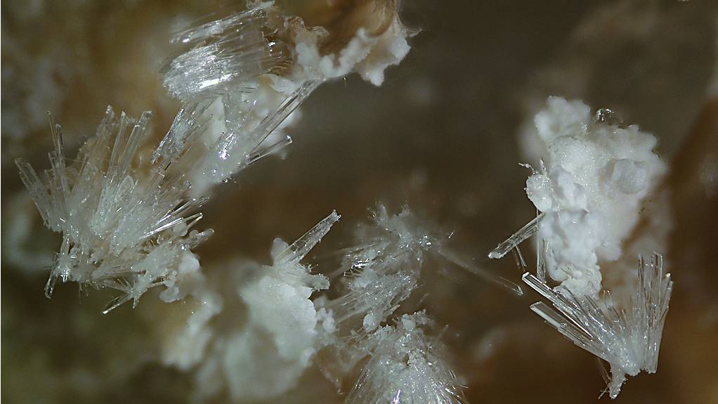 Evidence that we are in the Age of Man: Scientists catalog more human ...