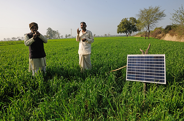 India's renewable energy revolution is racing ahead - The World from PRX
