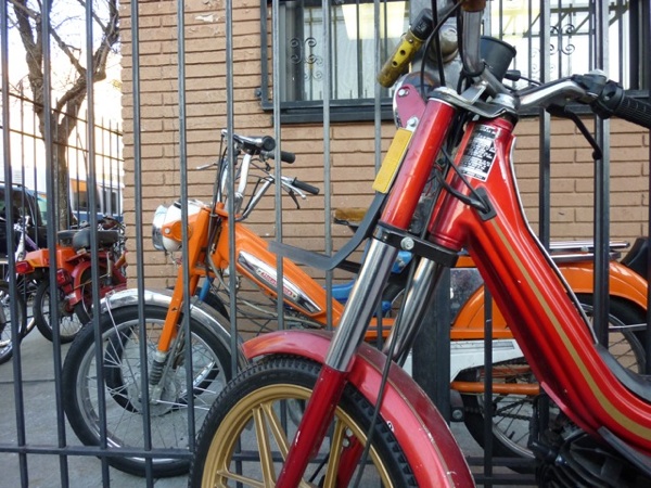 Design for the Real World: Moped - The World from PRX