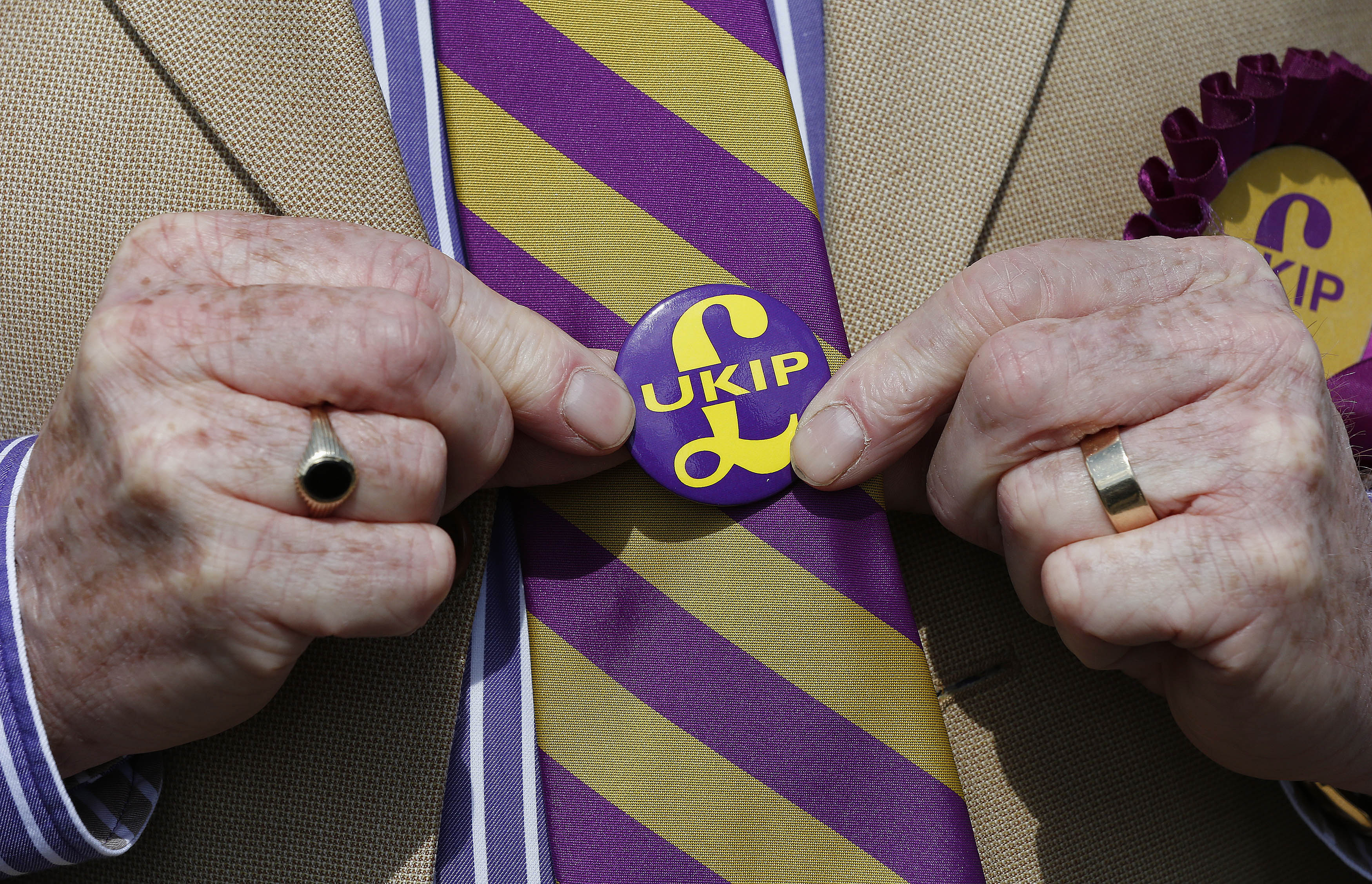 An anti-immigration party gains momentum in UK elections - The World ...