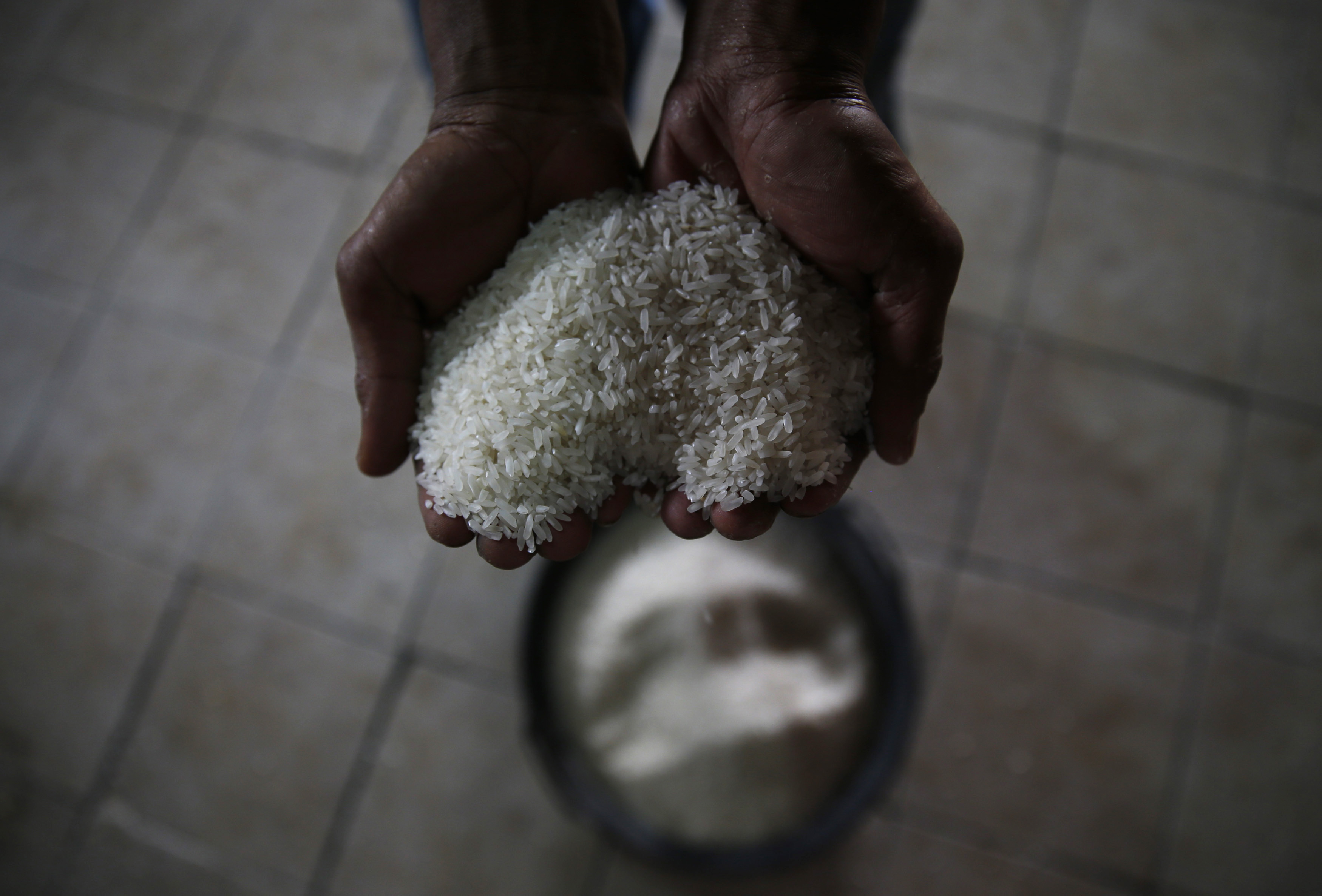 The quest to make the perfect rice - The World from PRX