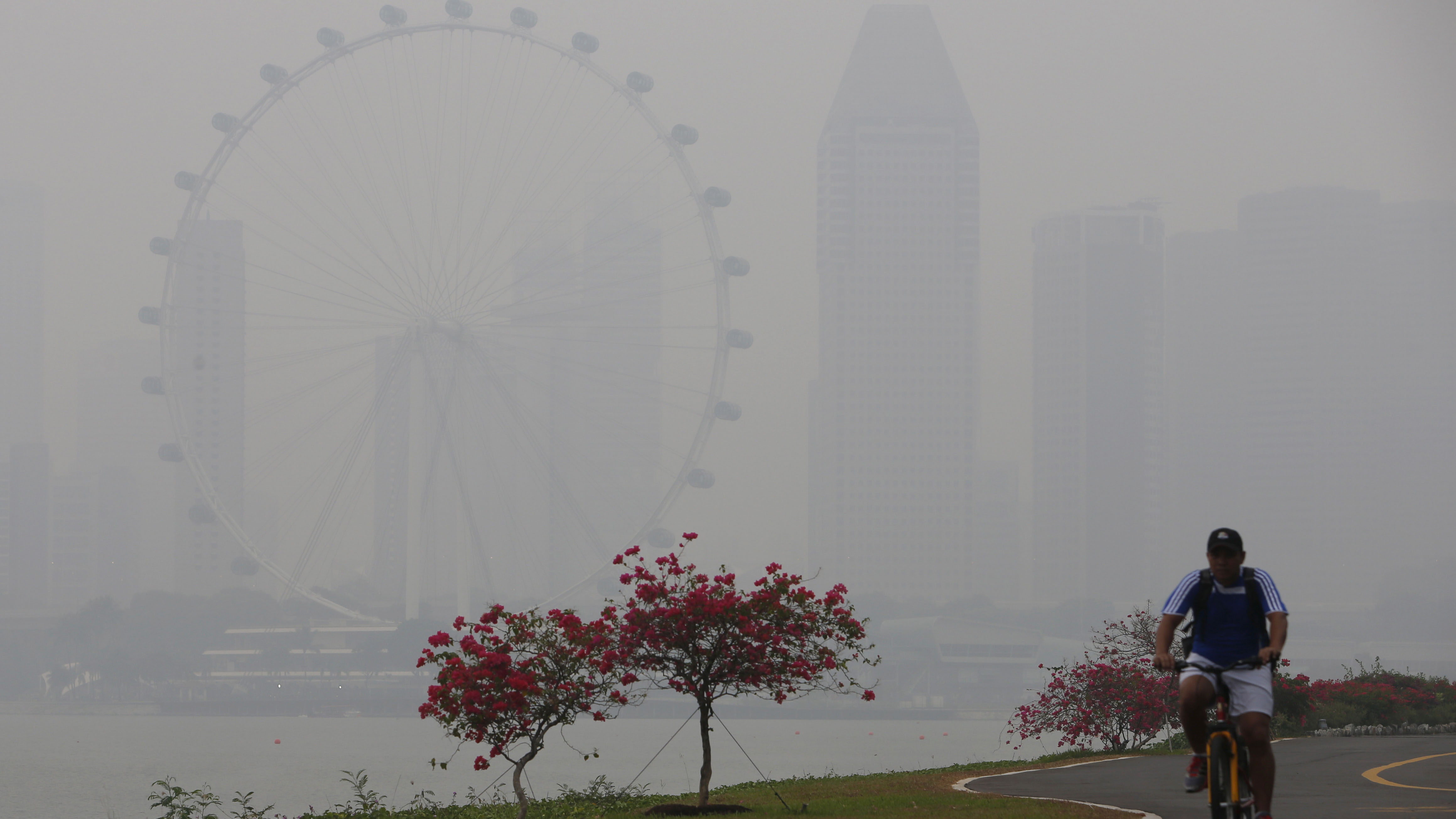 Toxic haze threatens millions in southeast Asia - The World from PRX