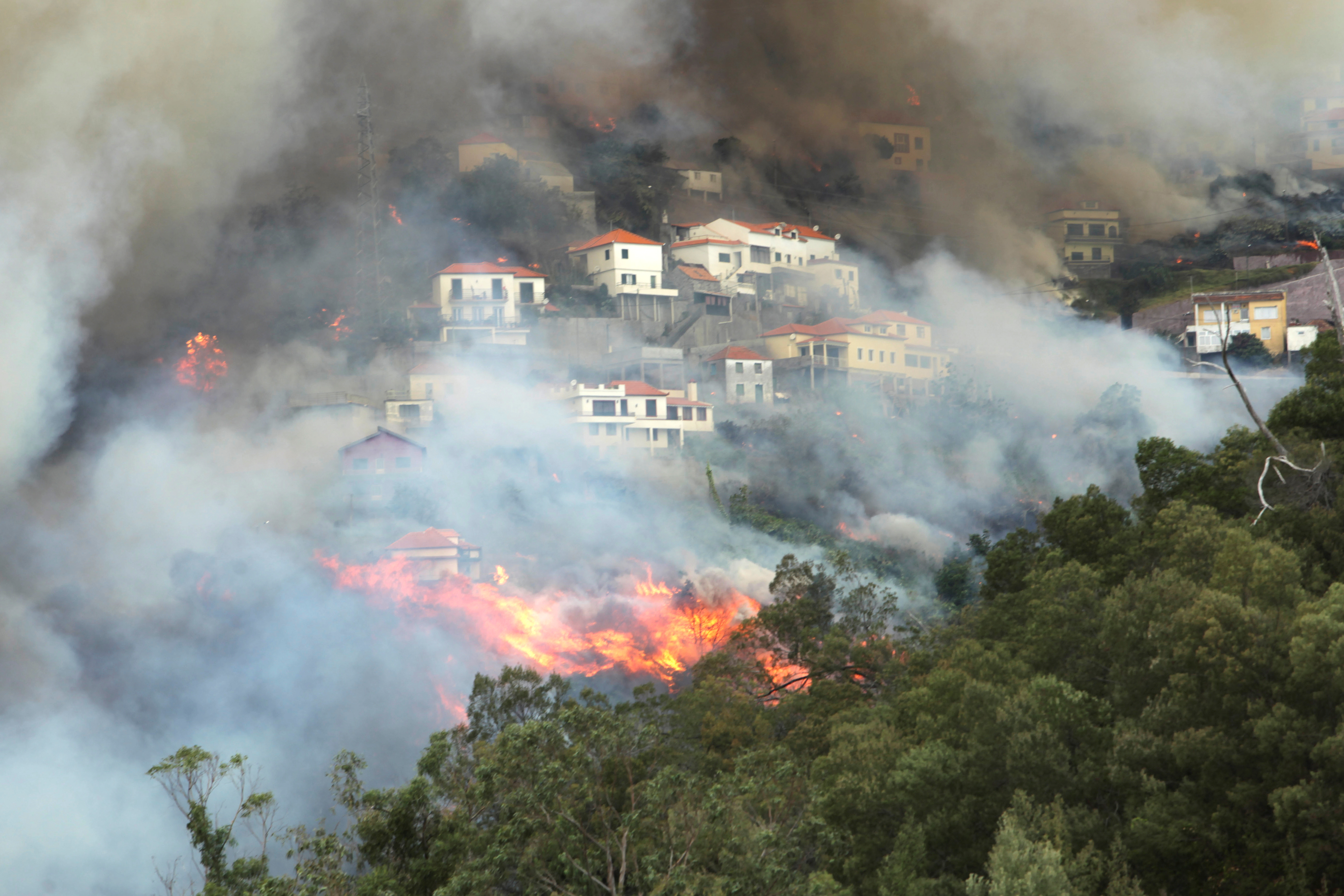 Deadly forest fires burn through Portuguese vacation island, killing ...