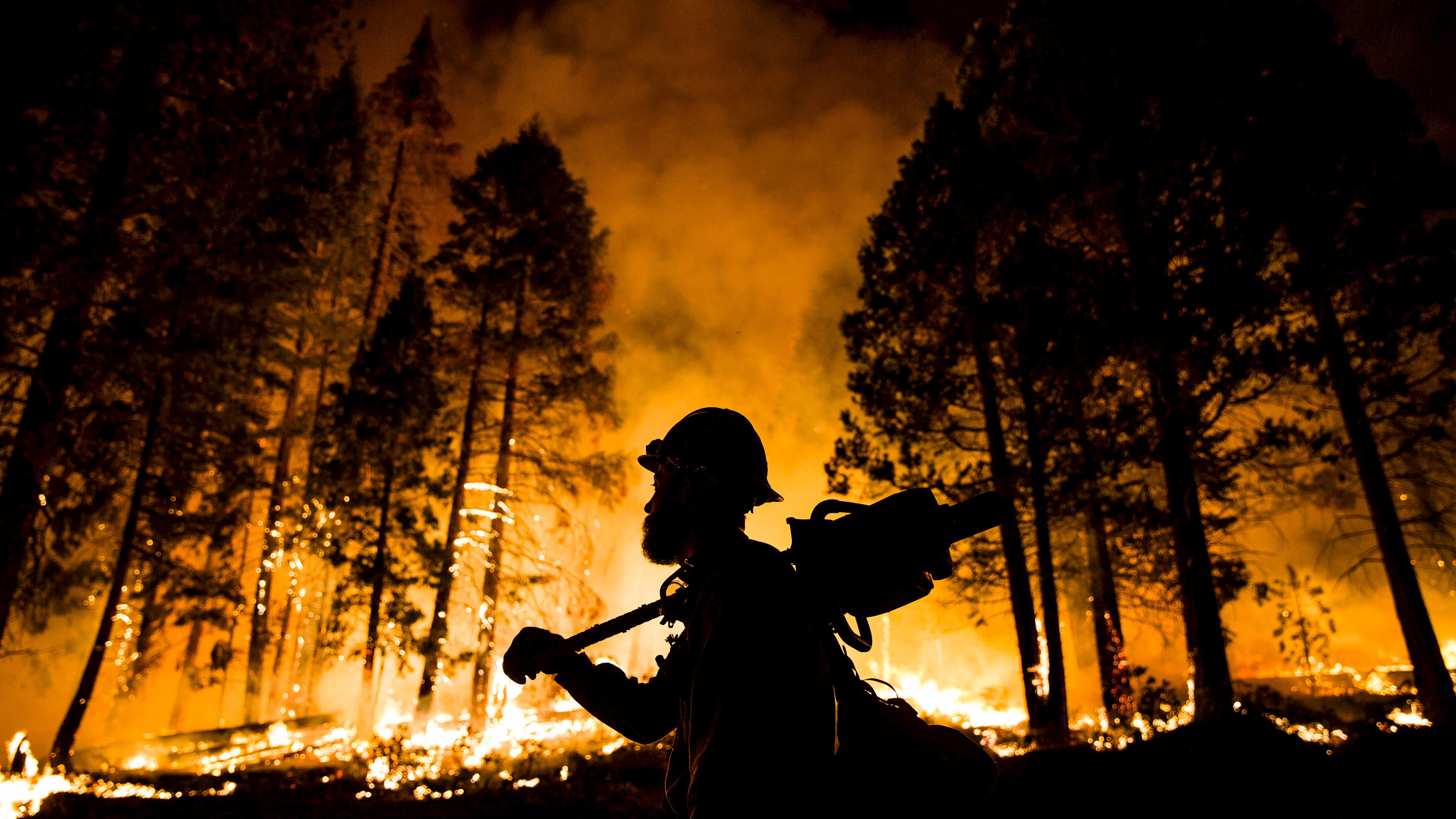 Using forest fires to prevent forest fires - The World from PRX