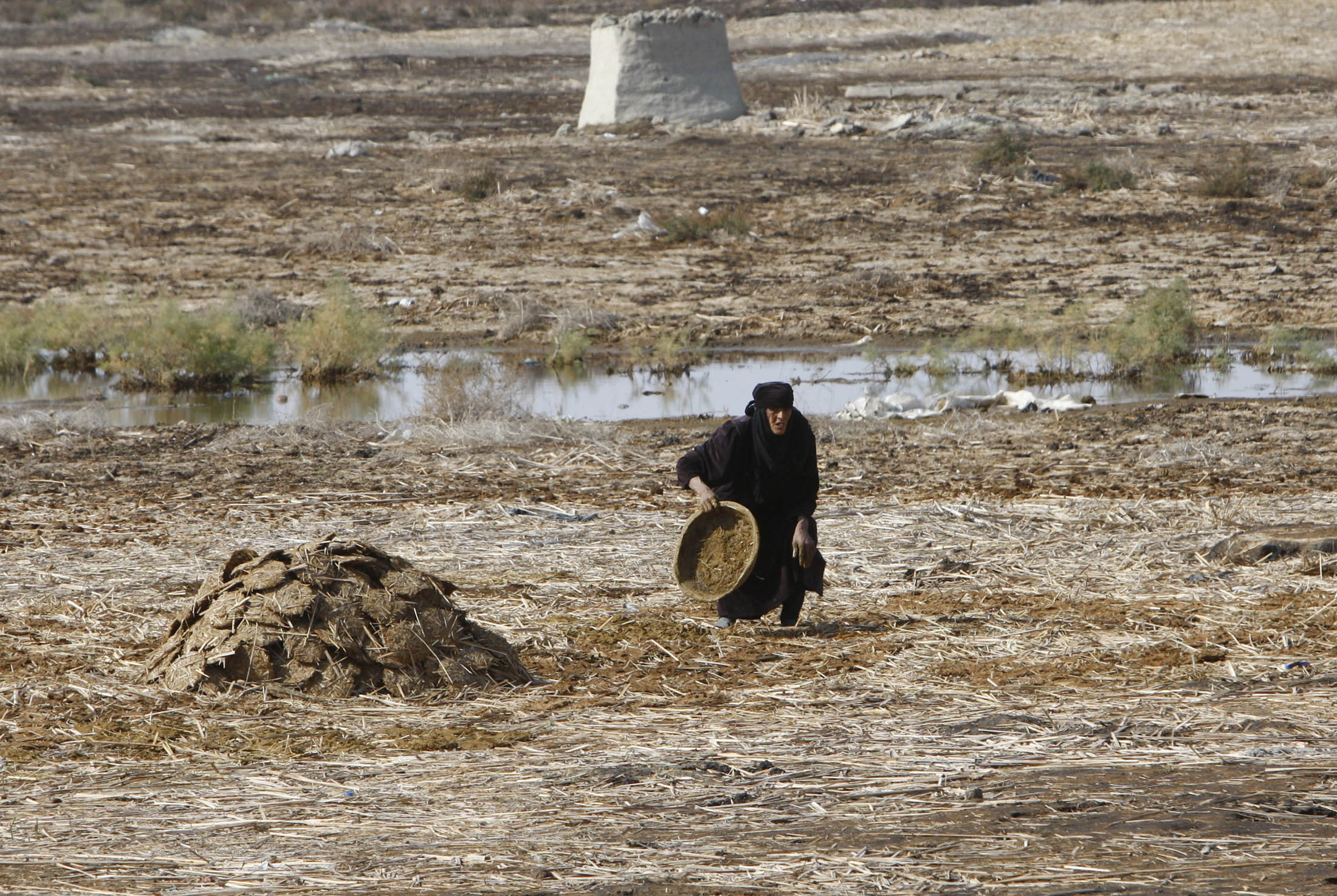 This Iraq war veteran goes back to Iraq on a different mission: to save ...