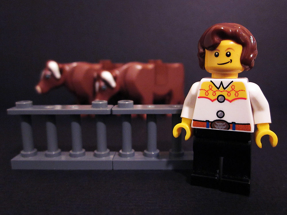Everything is Awesome About These Female Lego Figures - The World from PRX