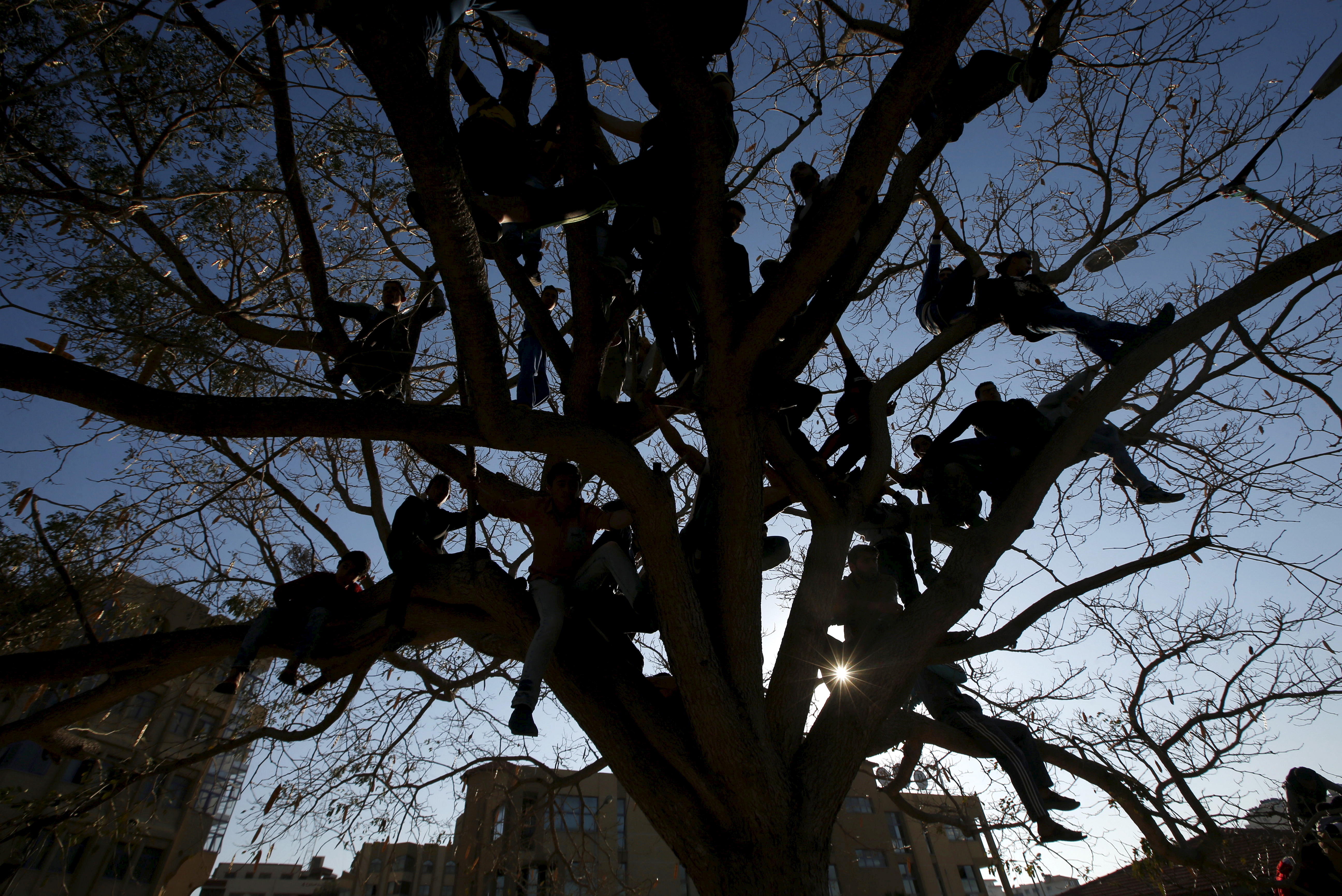 There's a new tree of life, and humans are just a tiny twig on it - The ...