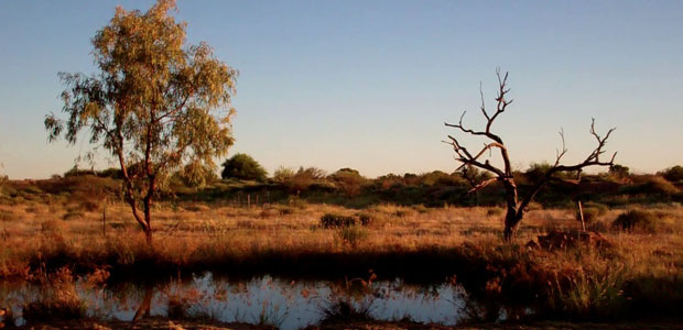 Australia’s Water Wars - The World from PRX