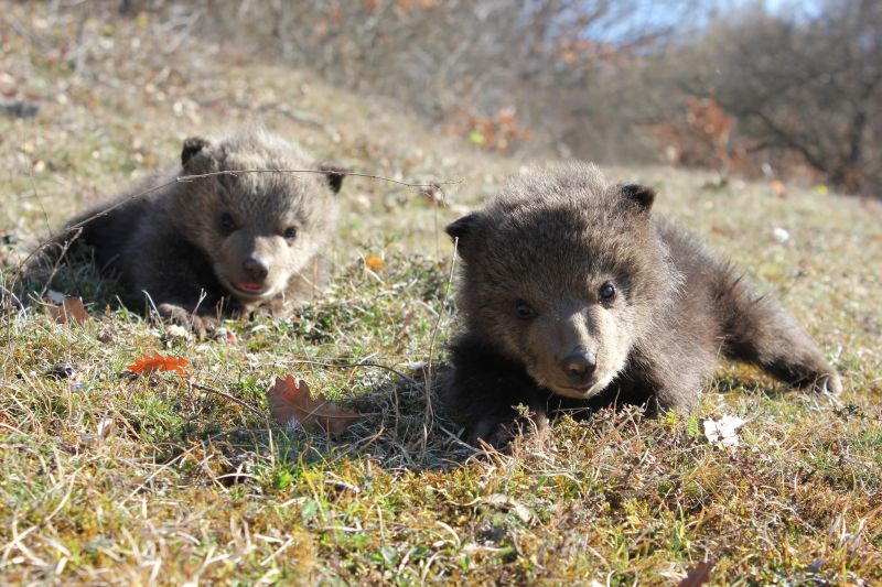 FAO, I hardly knew you - The World from PRX