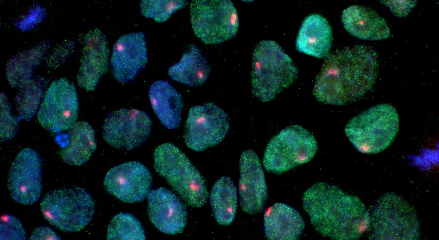 In the future we will be making babies from skin cells, an author ...