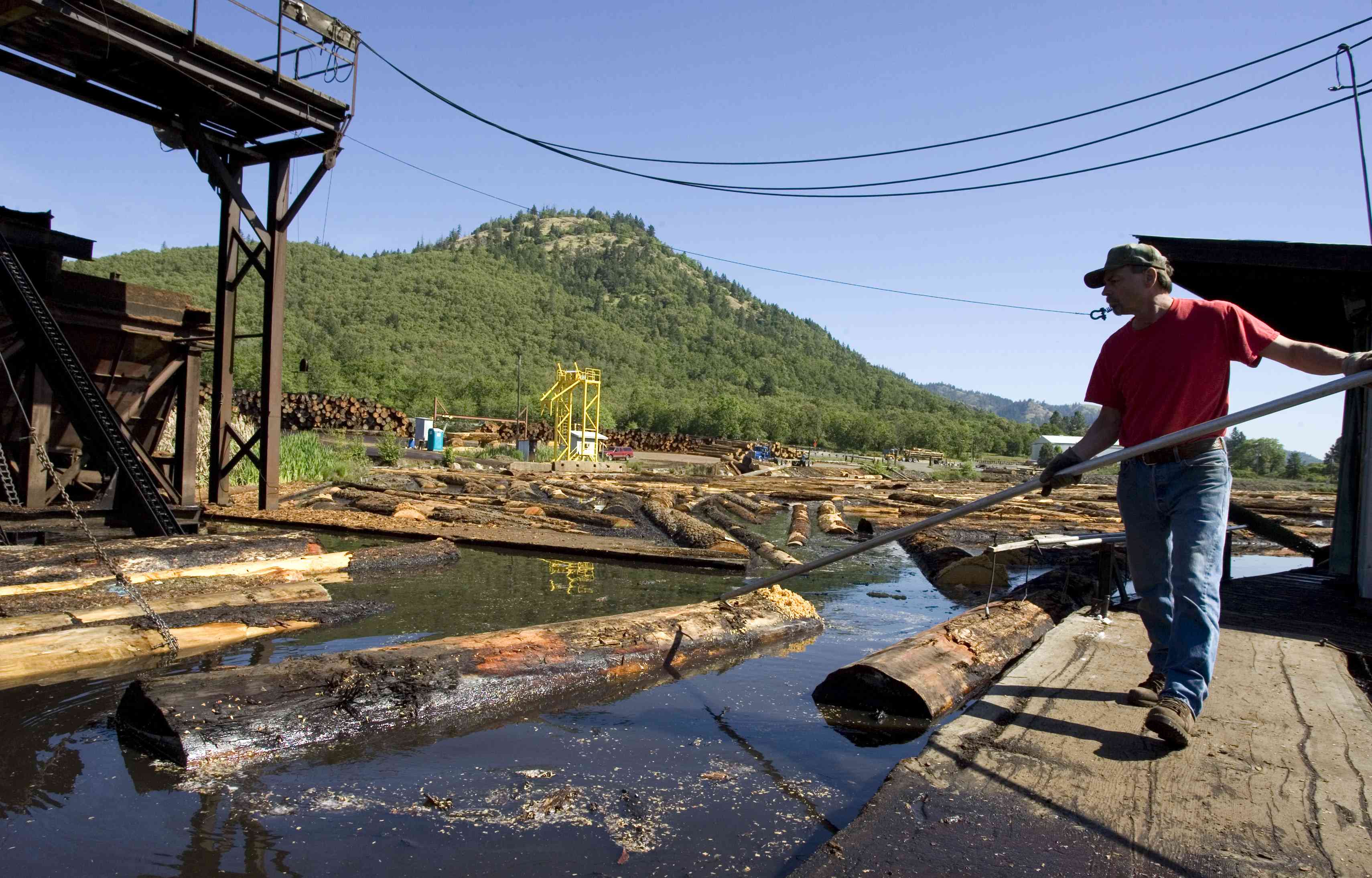 As logging disappears, rural Oregon struggles to put its financial ...