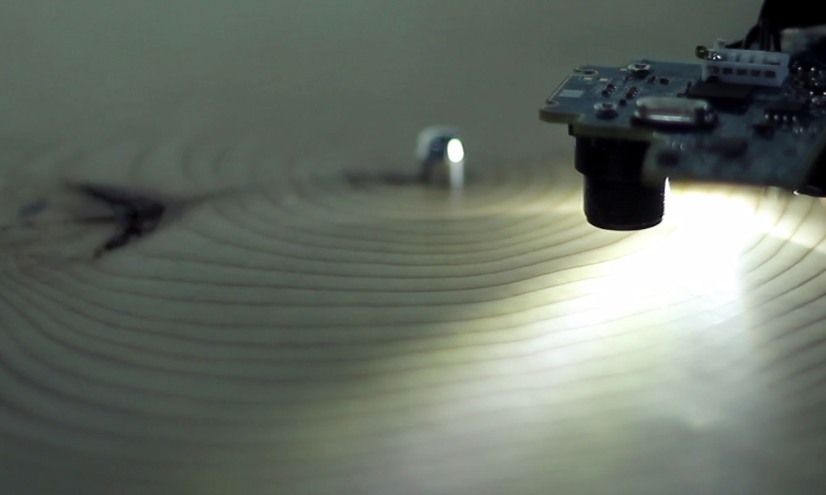 Making Trees Sing - The World from PRX