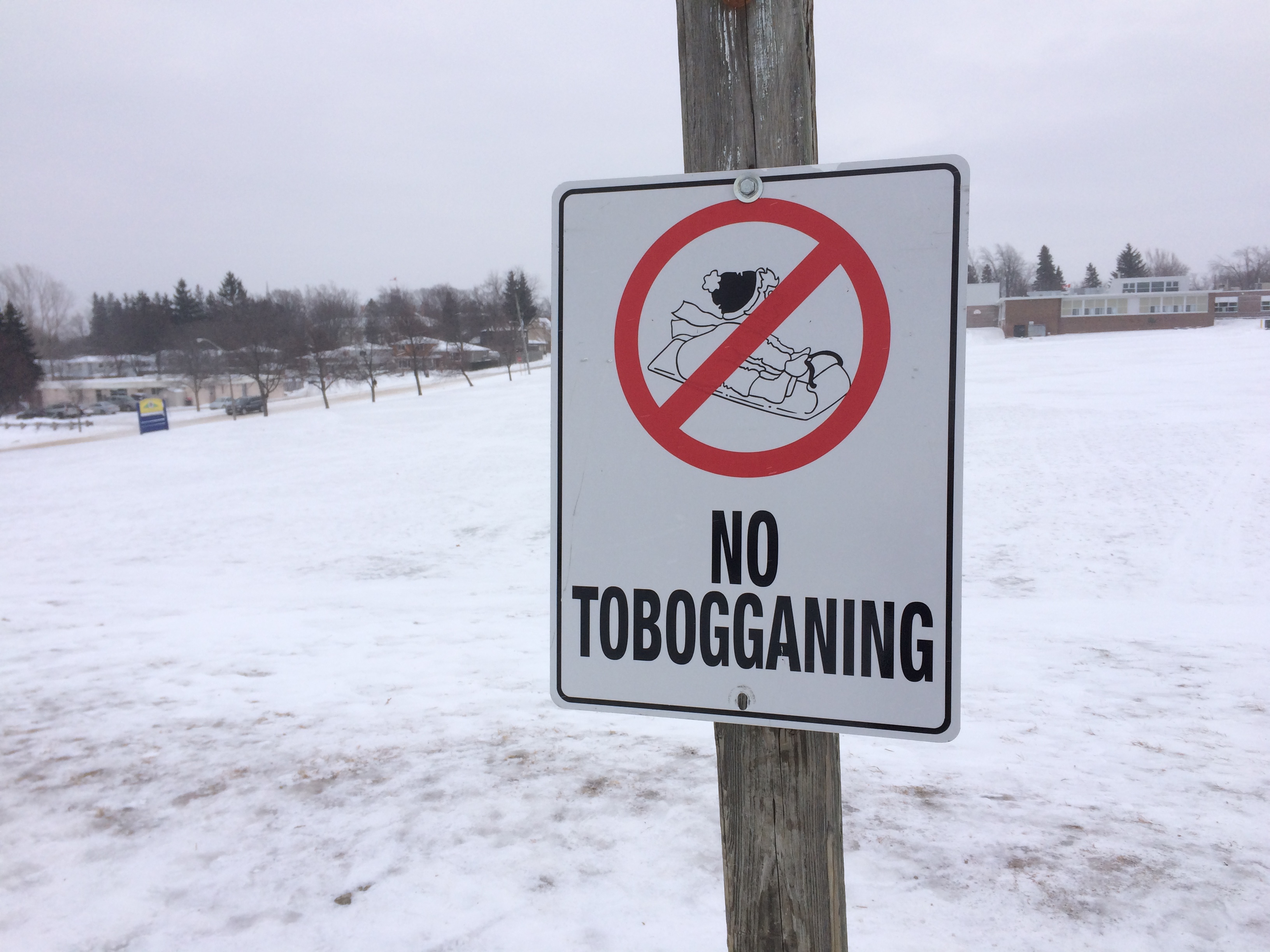 Canadians rally for their right to toboggan - The World from PRX