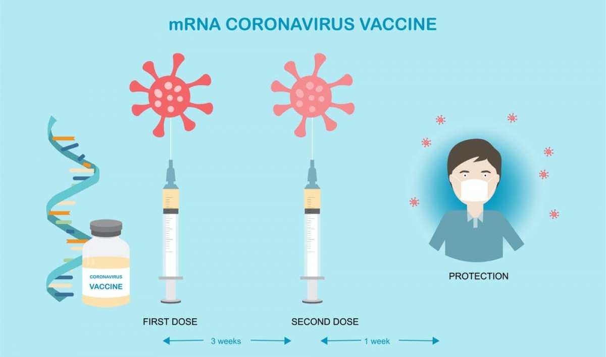 How Breakthrough MRNA Vaccines From Pfizer And Moderna Work How Breakthrough MRNA Vaccines From Pfizer And Moderna Work