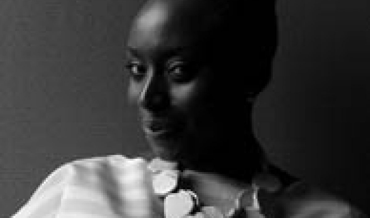 Chimamanda Adichie Identity Chart / Chimamanda Ngozi Adichie To Receive ...