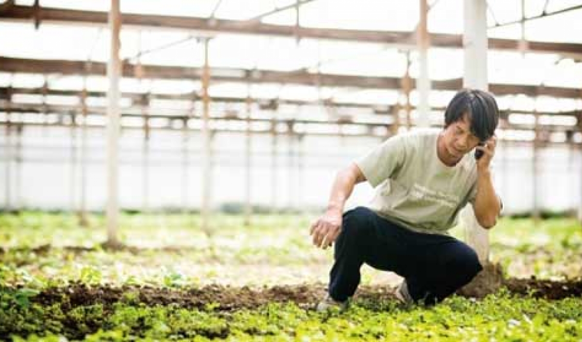 California's immigrant farmers squeezed by Silicon Valley success | The ...