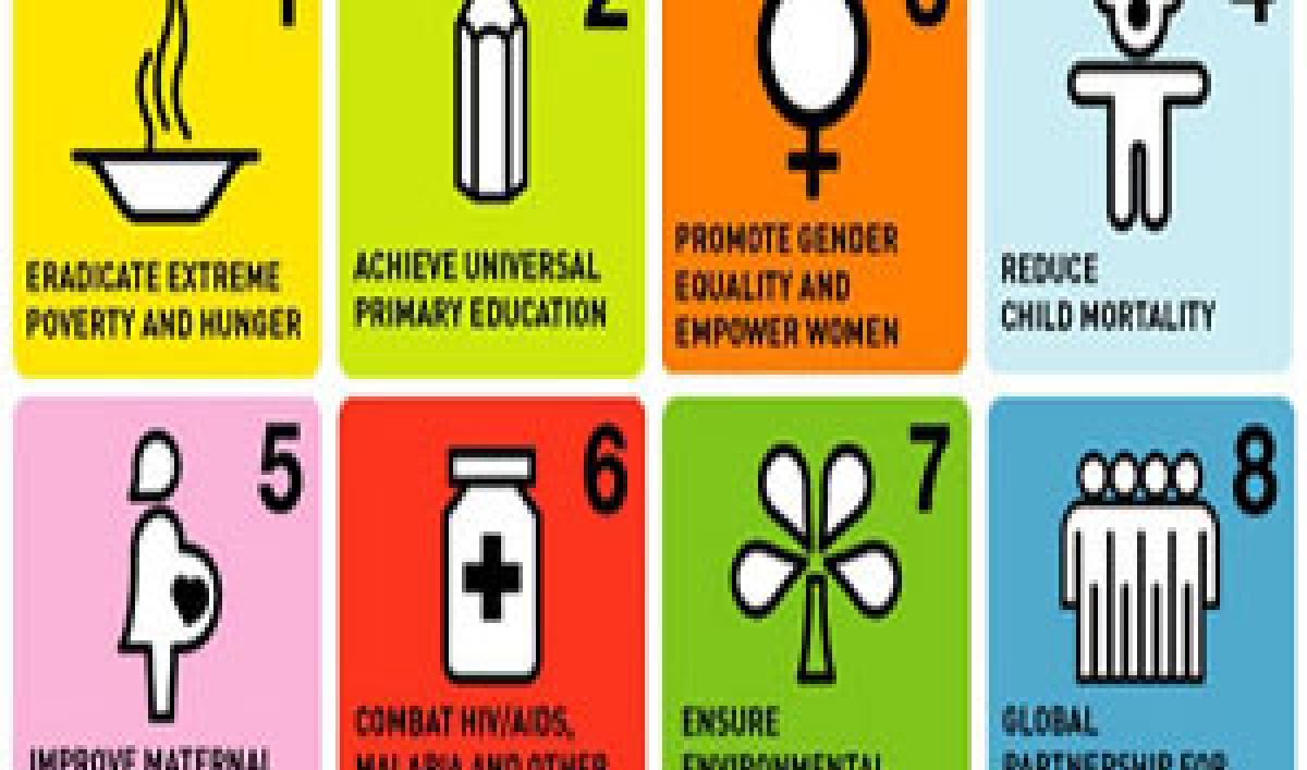 Fighting poverty, tracking the Millennium Development Goals | Public ...