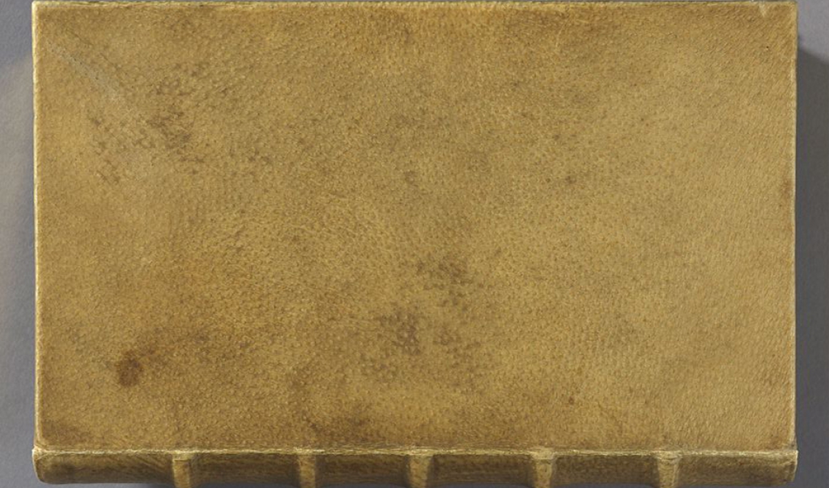 Human skin book