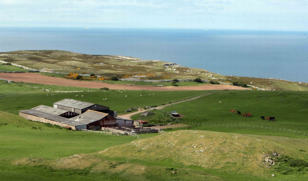 You can rent this picturesque farm by the sea for $1.50 a year