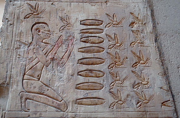 What we can learn from the ancient Egyptian practice of beekeeping ...