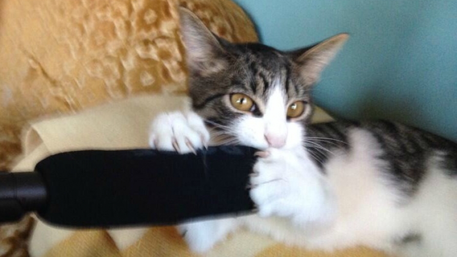 Jazz legend Charles Mingus wrote a step-by-step guide on toilet ...