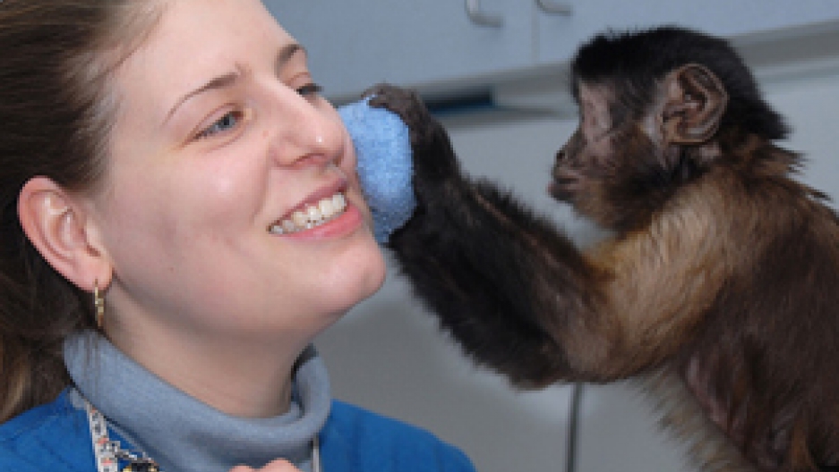 Service Monkey For Disabled