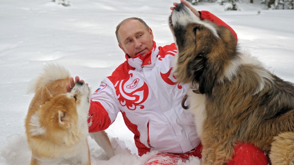 Vladimir Putin shows softer side walking his pet dogs | The World from PRX