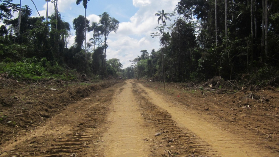 A new Amazon highway threatens some of the rainforest's last ...